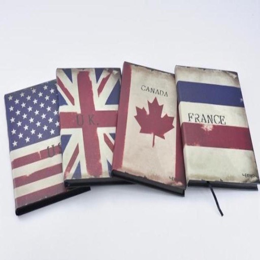 The Awesome Diary by Josh Indig