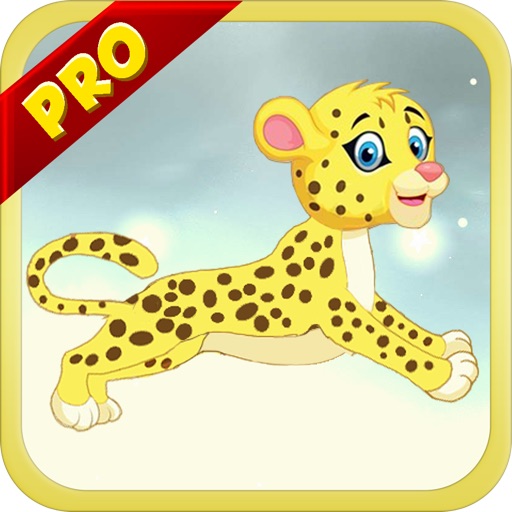 Chroma Cat Pro by Richard Hurley