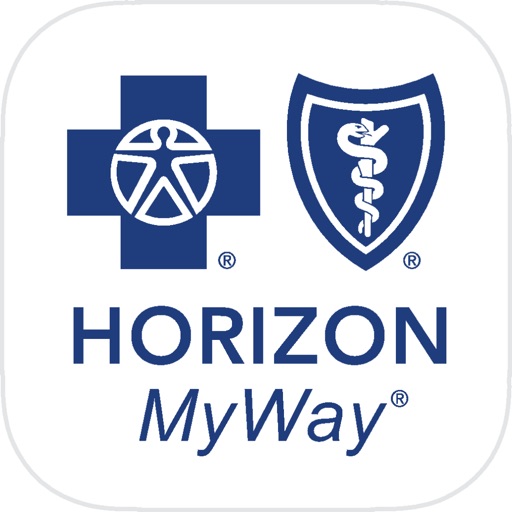 Horizon Accounts by Horizon Healthcare Services Inc