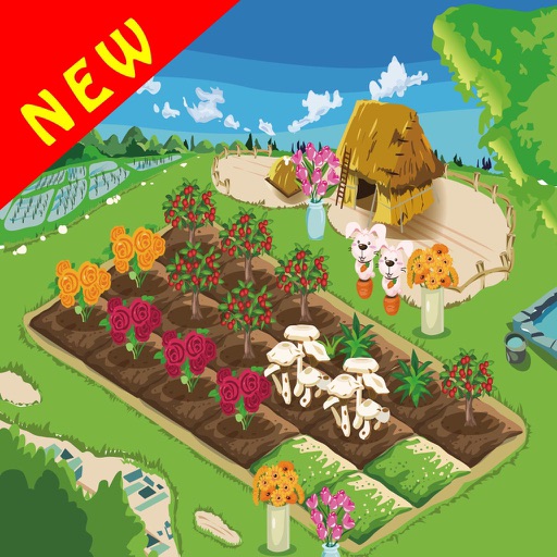 Orange Farm by Jiaxing Zhang