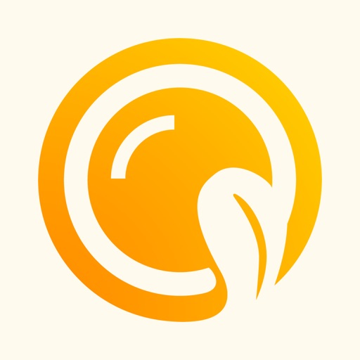 Camera Eats First by Vulcan Forge LLC