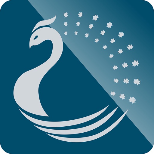 Phoenix painting-drawing App by Yanzhi Shen