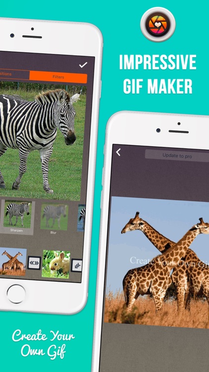 Create Your Own Gif by Photo & Video Labs