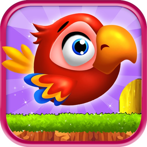 Stupid Bird Pro by BigOne Team
