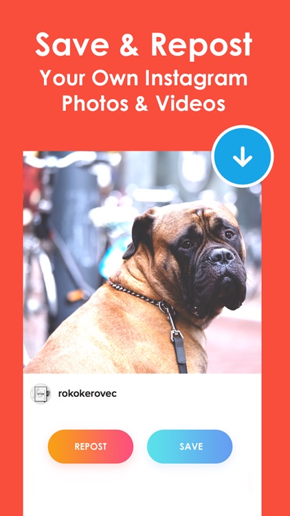 InstaSave - Download Your Instagram Photo & Videos by XiaoLei Li