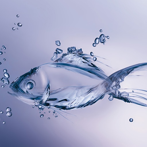 Water Art Wallpapers by Jitesh S