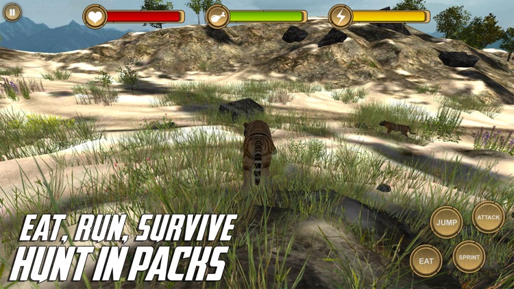 SaberTooth Tiger Simulator HD Animal Life by Aleksus