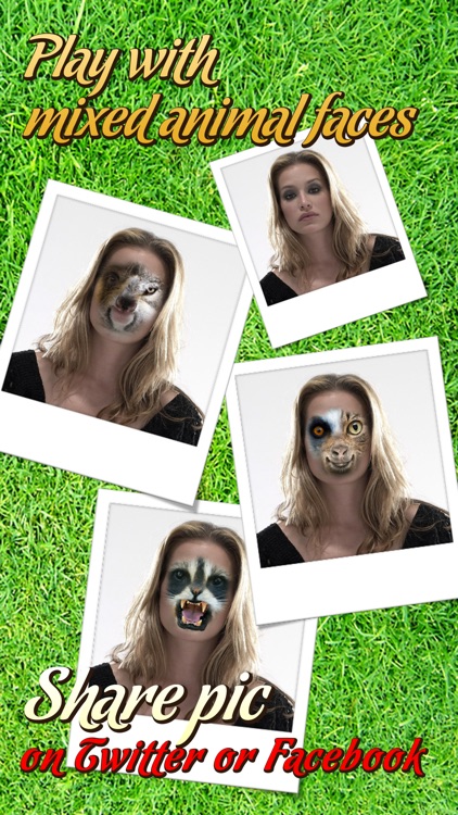 Animal Face Maker - Turn Your Photo to Cute Cat, Dog, Fox, Wolf ...