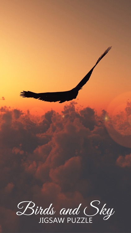 Birds and Sky Jigsaw Puzzle by Rajesh Kumar