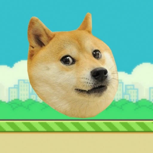 Doge Run: The Game by DaisyBo LLC