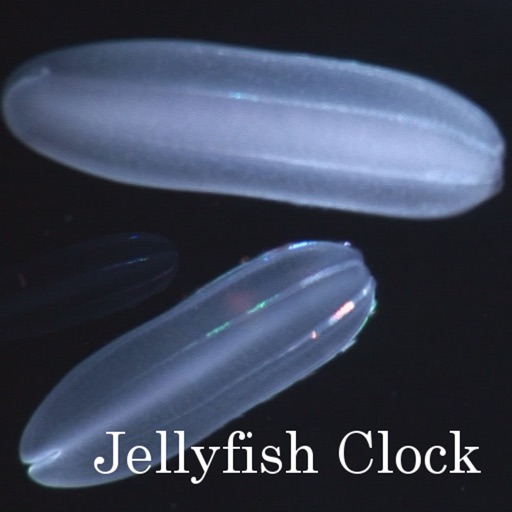 Jellyfish Clock by S-Field Co.,Ltd.