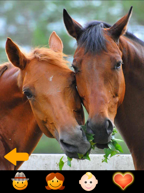 Télécharger ZOOLA Animaux pour iPhone / iPad sur l'App Store (Education)