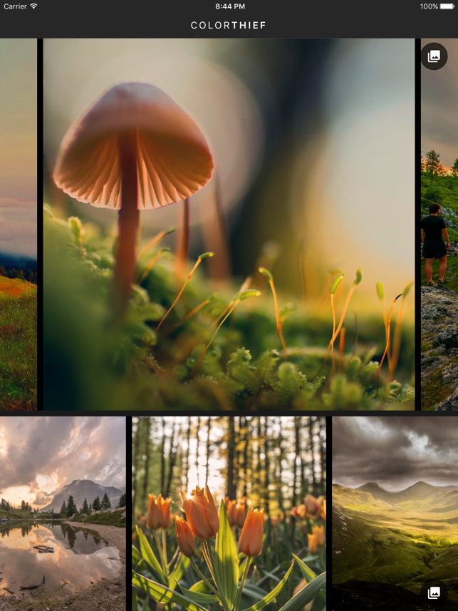 【iOS APP】Color Thief 色彩小偷 – Dr.愛瘋 APP Navi