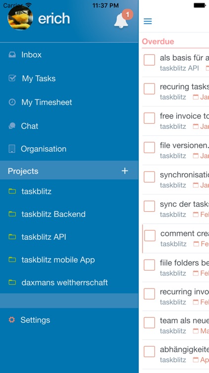 taskblitz Project Management by Erich Holzbauer