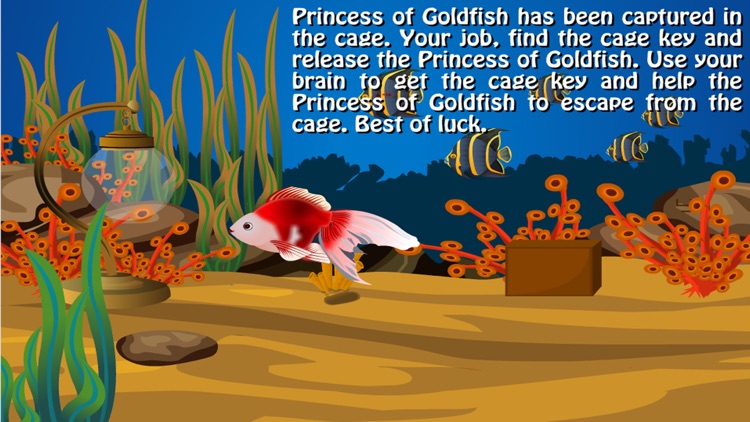 Princess of Goldfish Escape by Saravanan Manickam