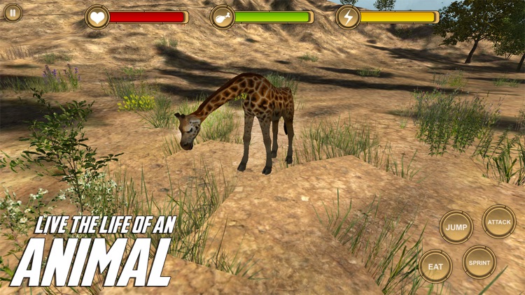 Giraffe Simulator - HD by cityMoney