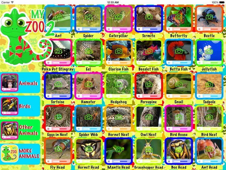 MY ZOO 2 - Learn Animal Names by Alina Yeremenko