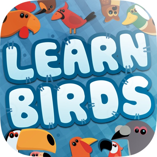 Learn About Birds Preschool Lunchbox Adventure - 3 in 1 Free ...