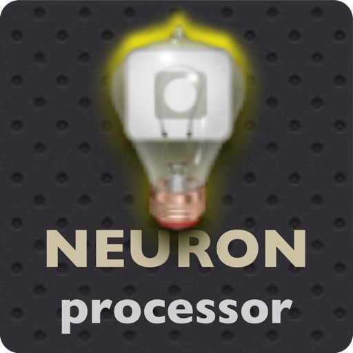 NEURONprocessor by NEURONprocessing