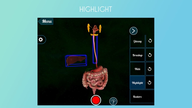 VR Human Digestive System by Trendyworks Technologies Pvt. Ltd
