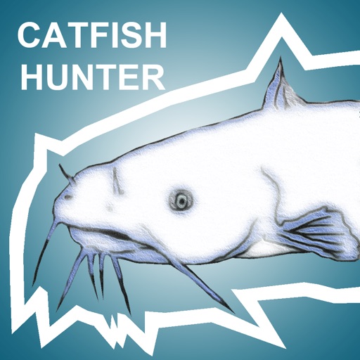 Catfish Hunter by Perry C McKinley