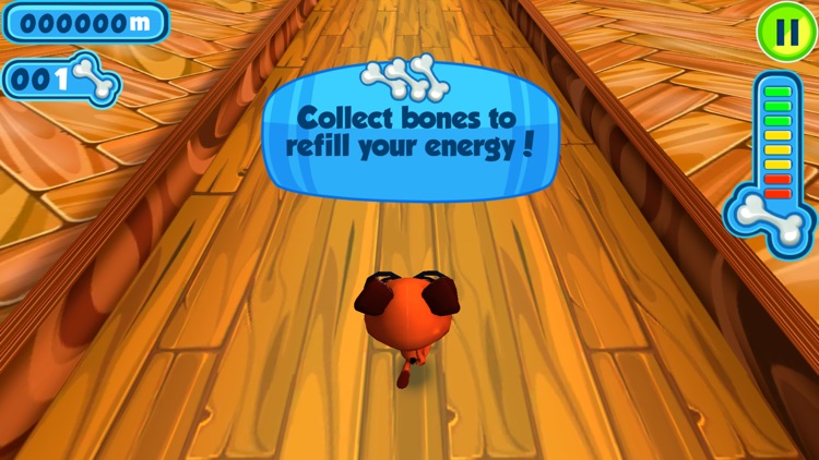 Dog Racing Game – Cute Puppy Speed Runner - Run and Escape the Room by ...