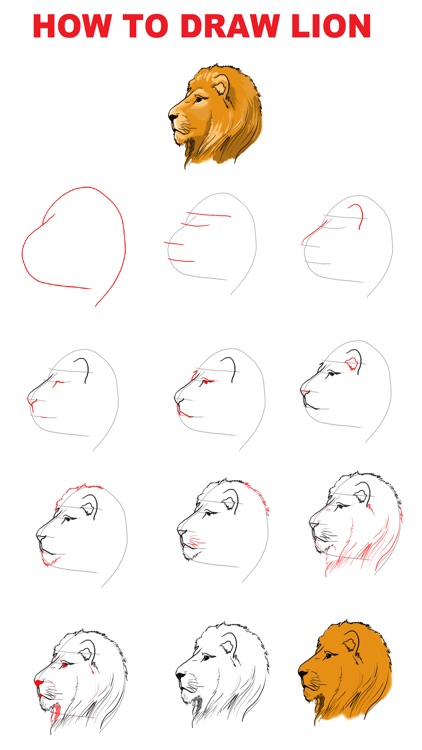 How to Draw Free Step By Step Drawing Lessons by Janice Ong