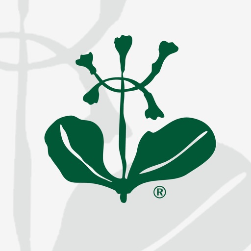 CVDA by Arcella scarl