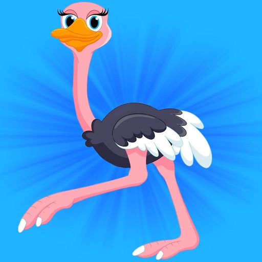 Big Bird Run - Ostrich's Crazy Jungle Splash (Free Game) by Games Nuevo ...