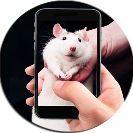 Rat On Screen On Hand Simulator by ALEXANDR GUSEV