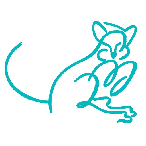 Rottnest Island by Rottnest Island Authority