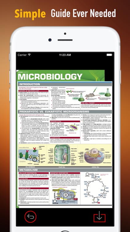 Microbiology Glossary: Cheatsheet with Study Guide by Monica G