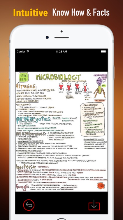Microbiology Glossary: Cheatsheet with Study Guide by Monica G