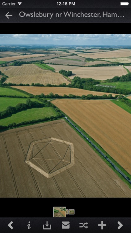 UFO Crop Signs by Mary Stone