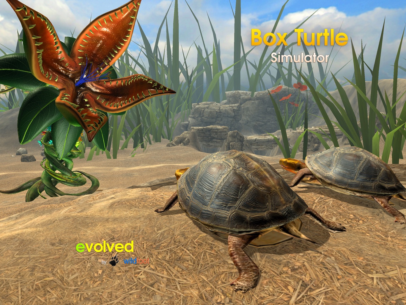 Box Turtle Simulator on iOS — price history, screenshots, discounts • USA