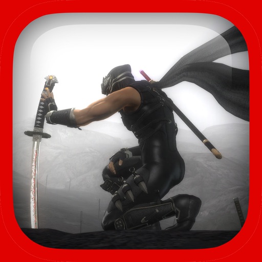 Immortal Ninja Villages by Fireboy Softwares