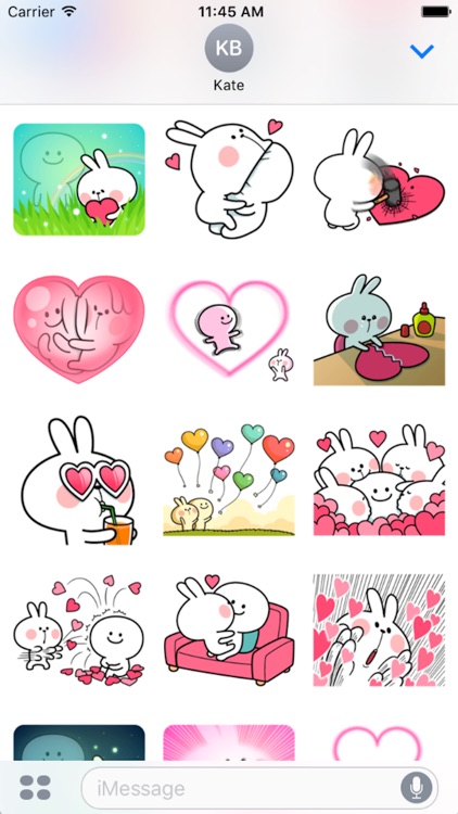 Spoiled Rabbit Love by Binh Pham