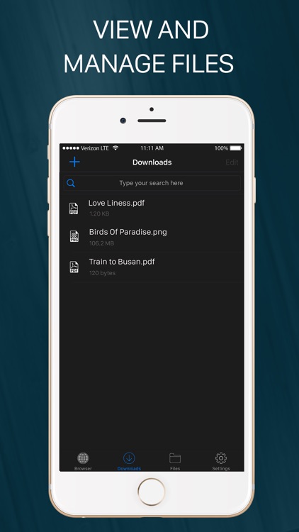 iDownloader Pro - File & Download Manager by Rory Chidley