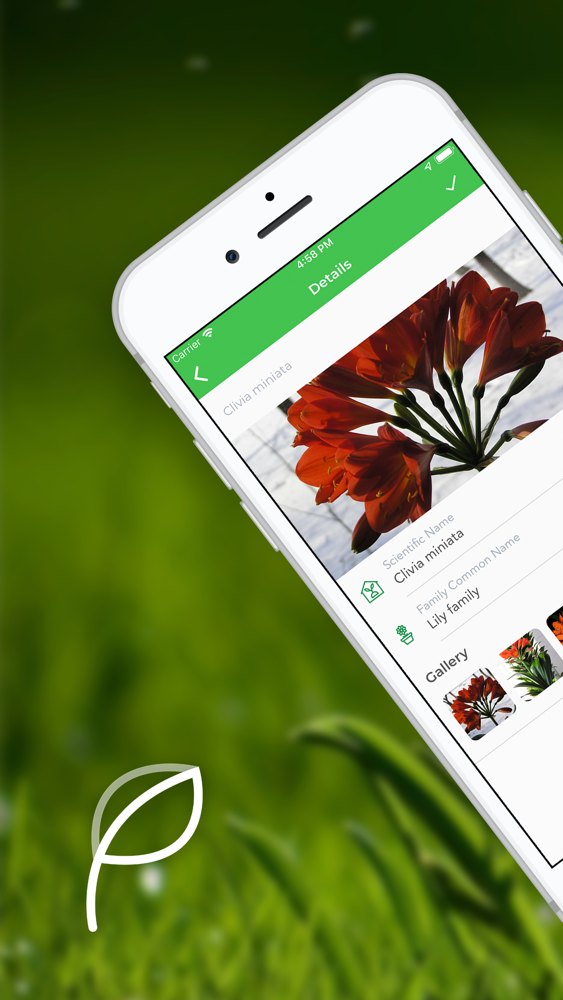 Plant Identification App For IPhone Free Download Plant 