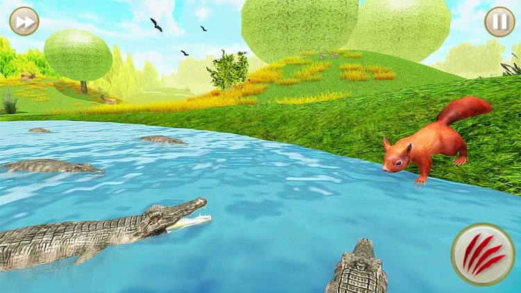 Squirrel Simulator Family Life by Muhammad Saleem