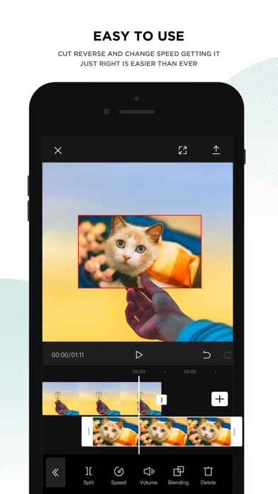  CapCut Video Editor PC Mac 