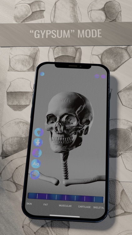 Ecorche: Portrait Anatomy by Kirill Chikalin