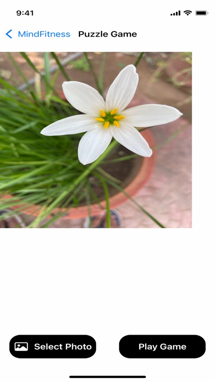 MindFlair by Nandishi Software, LLC