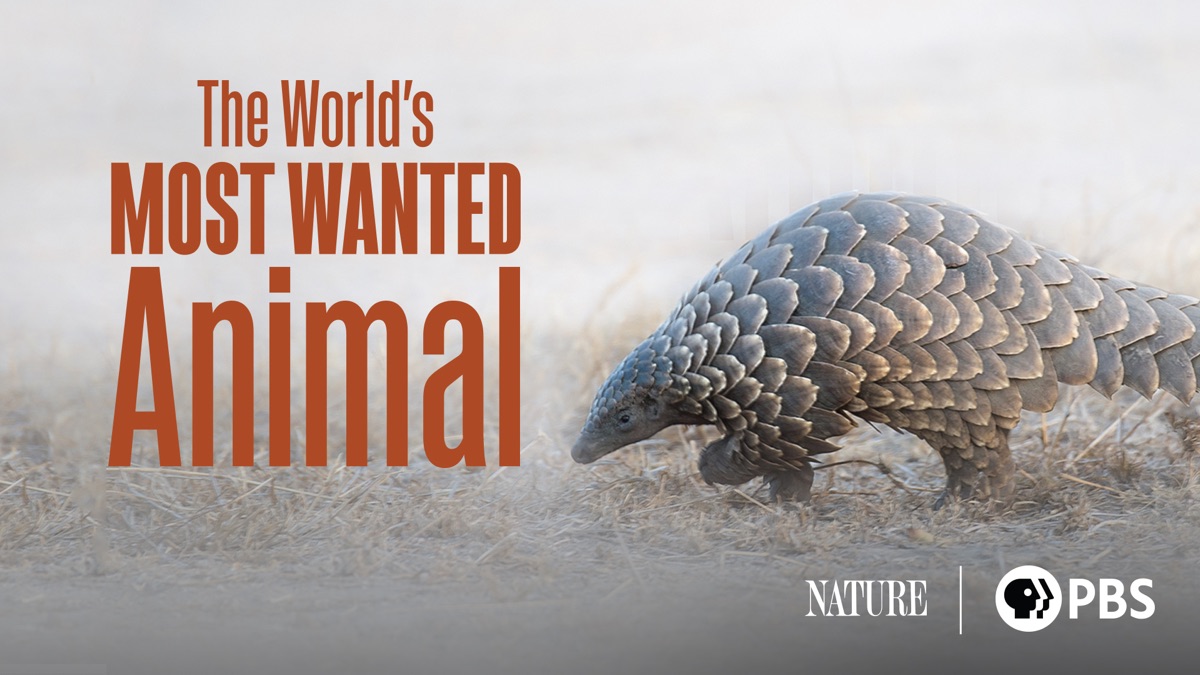 The World's Most Wanted Animal | Apple TV