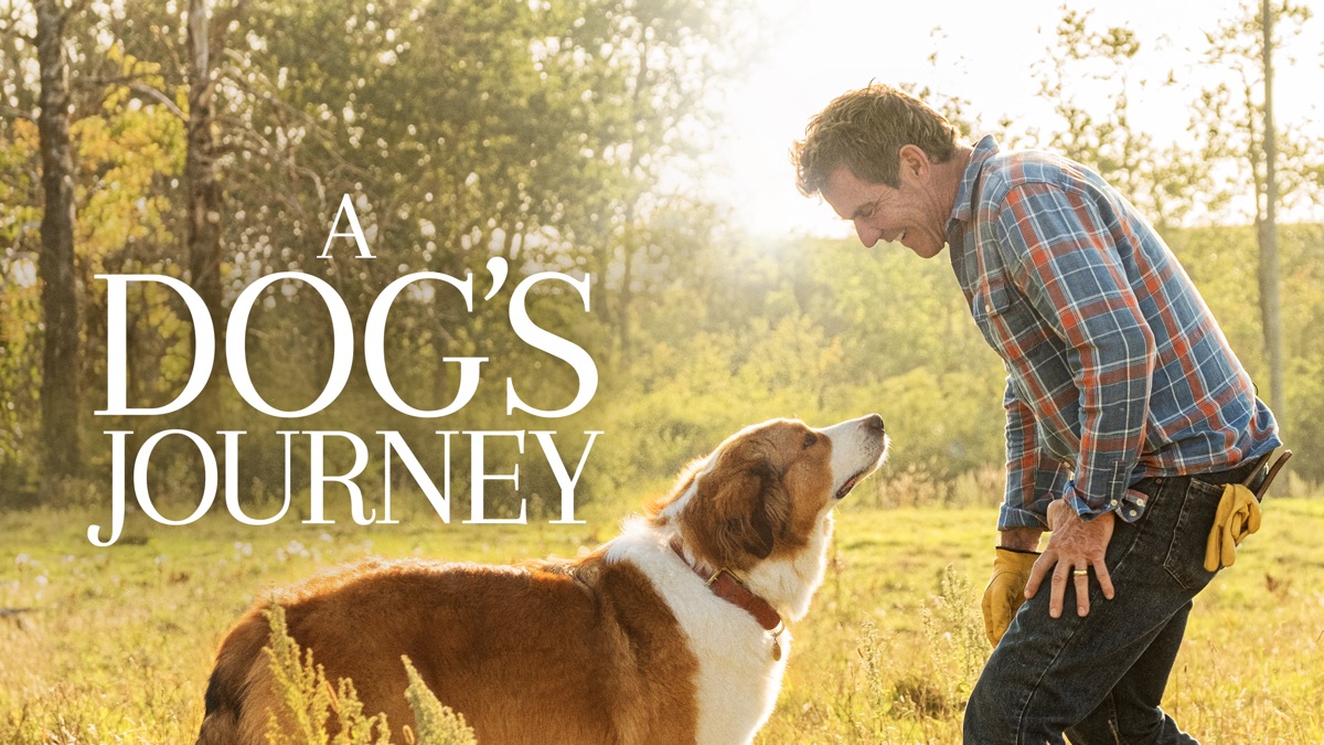 A Dog's Journey | Apple TV