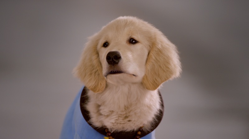 Space Buddies | Apple TV