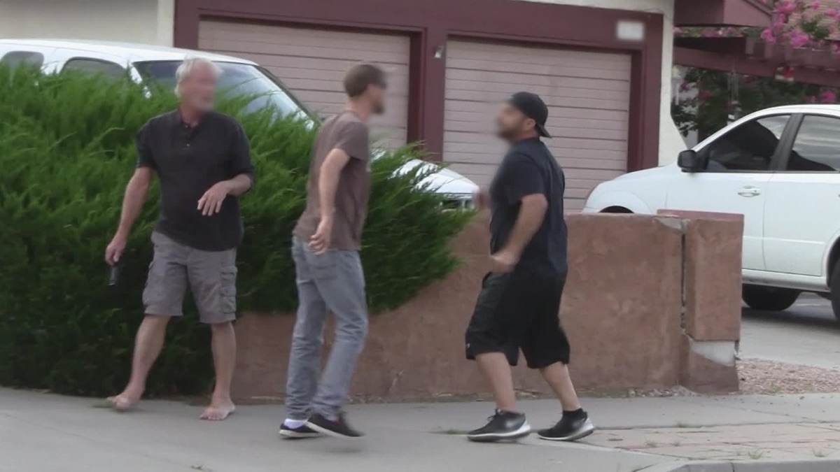 Stray Cats, Wild Neighbor - Neighborhood Wars (Season 2, Episode 3 ...