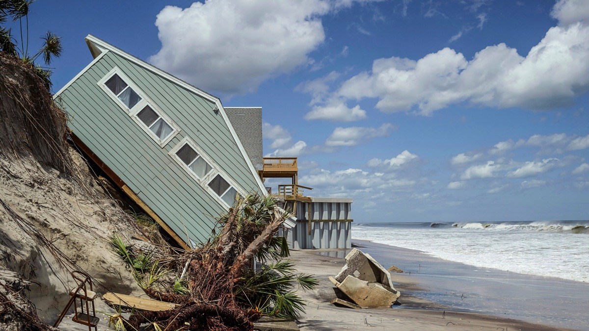 The Human Element | Apple TV