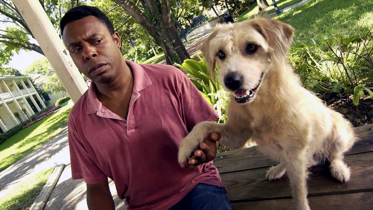 Lenny the Wonder Dog | Apple TV