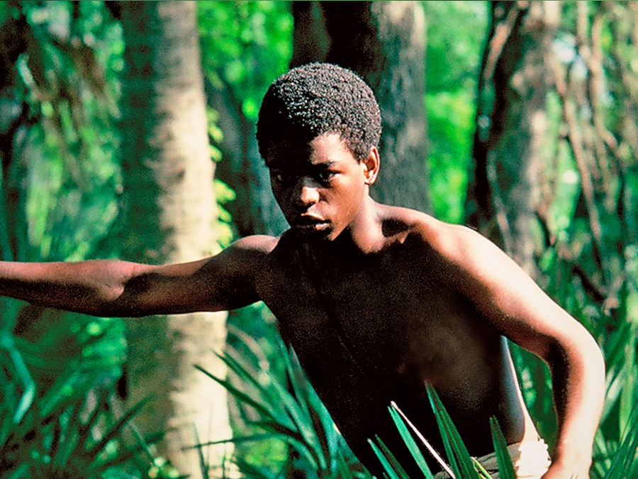 Roots: The Complete Miniseries | Apple TV